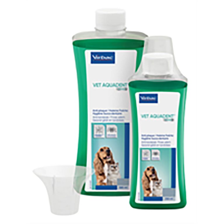 Vectra Felis kat | Ontvlooien van uw kat | DocVet.nl